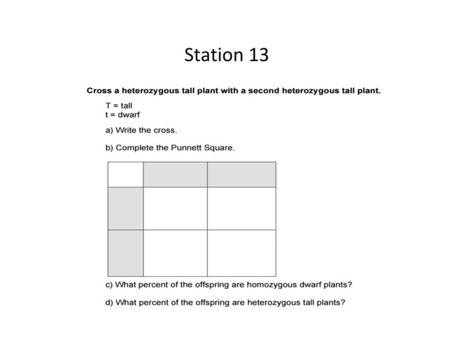 Heredity Stations Review | PPT