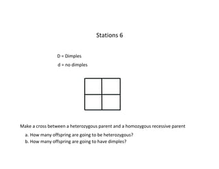 Heredity Stations Review | PPT