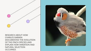 Heredity Trait Inheritance and Variation Educational Presentation in ...