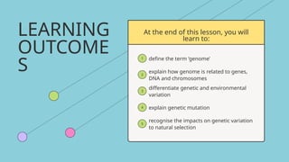 Heredity Trait Inheritance and Variation Educational Presentation in ...