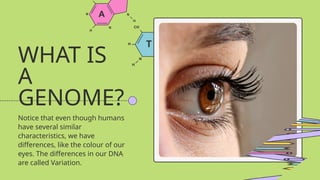 Heredity Trait Inheritance and Variation Educational Presentation in ...
