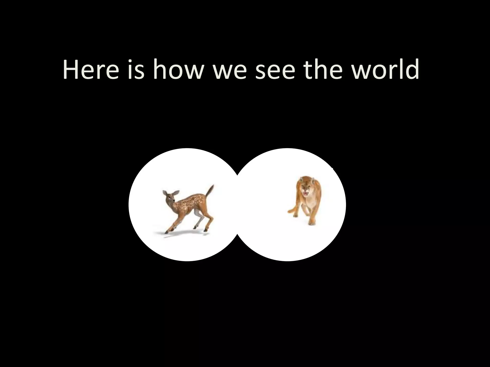 Here is how we see the world | PPTX