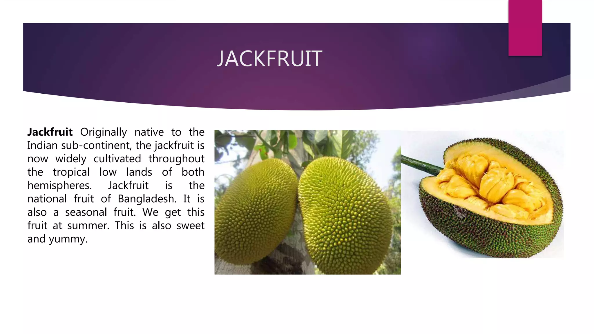 Top 5 fruit of Bangladesh | PPTX