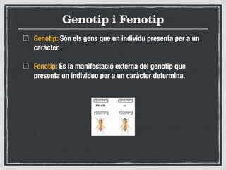 Herencia biologica | PPT