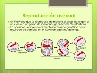 Herencia de genes y reproduccion sexual y asexual | PPSX