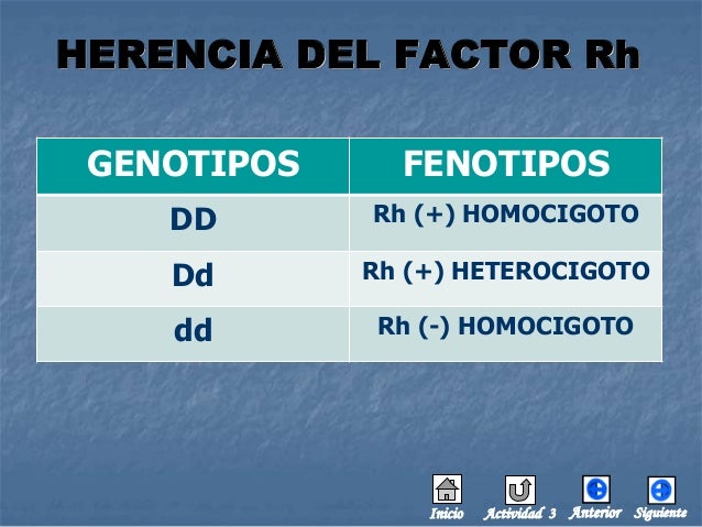 Herencia de los grupos sanguíneos 9° 2016 estudiantes