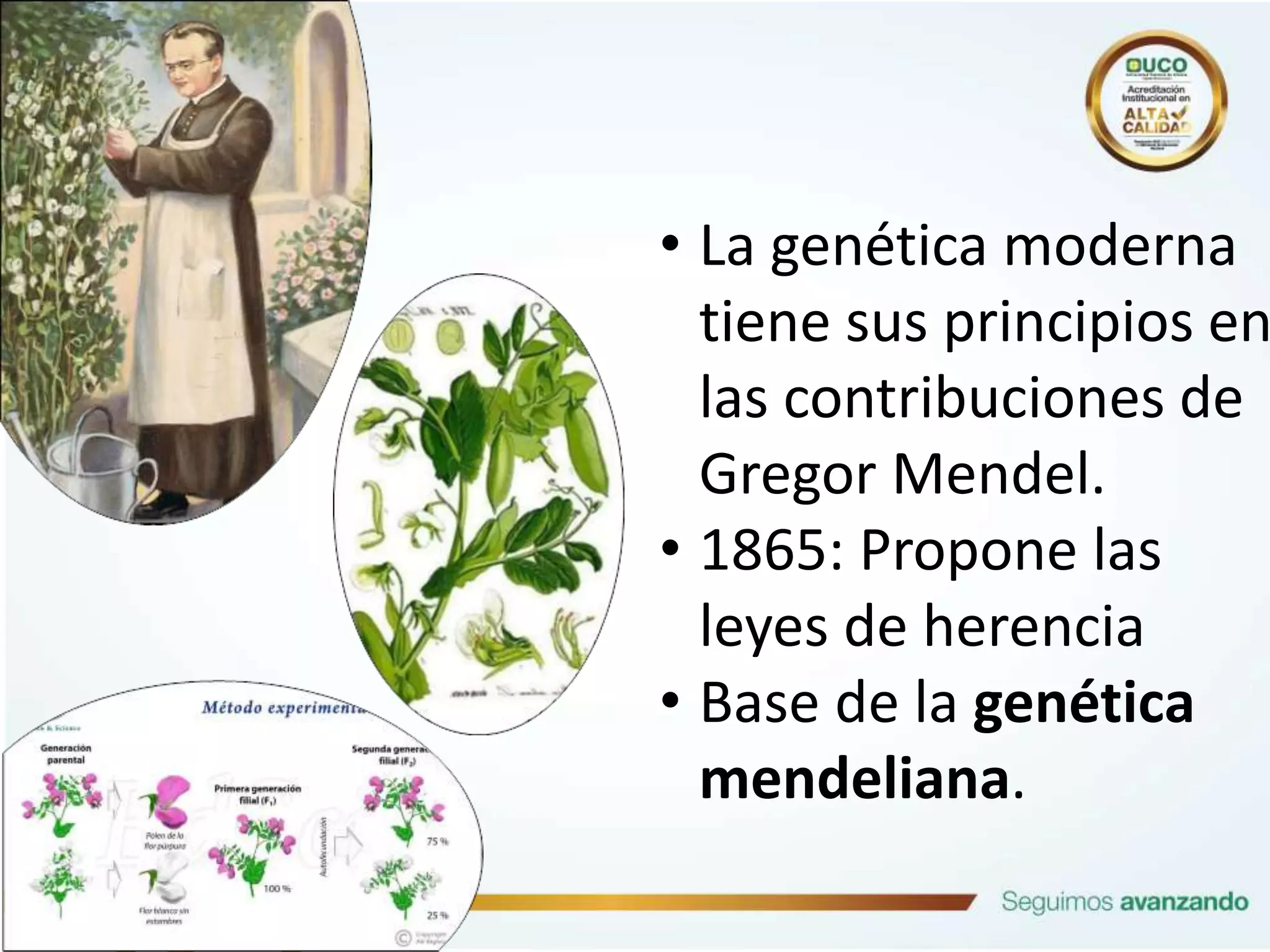Herencia mendeliana | PPTX | Genetics | Science