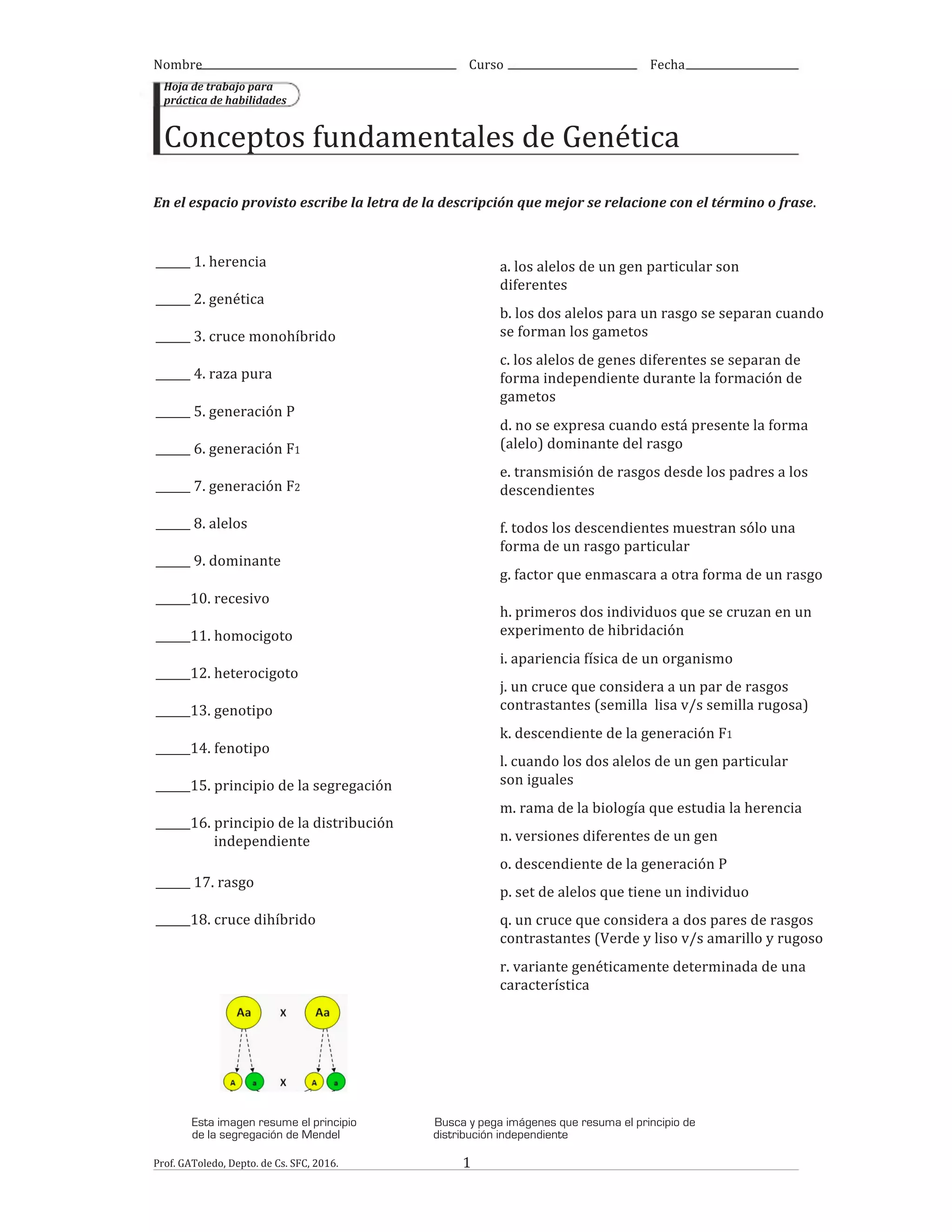 Herencia mendeliana y no mendeliana. hoja de trabajo. 2ª medio Biología ...