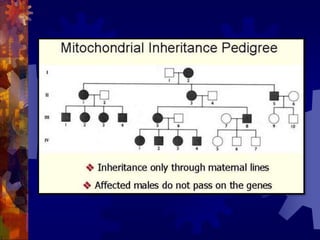 Herencia mitocondrial | PPTX
