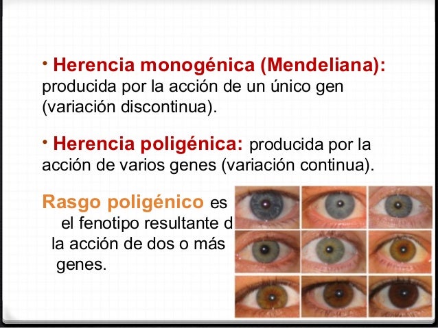 Herencia poligenica pdf - tabletlasopa