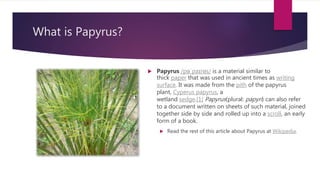 Here & There Among the Papyri | PPTX