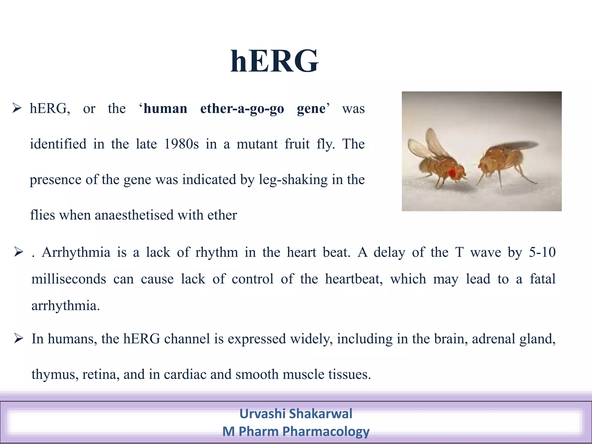 Herg assay,Structure, Various screening methods and Advantages | PPTX