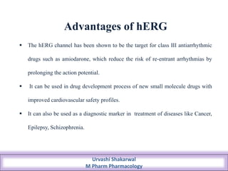 Herg assay,Structure, Various screening methods and Advantages | PPTX