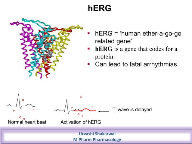 Herg assay,Structure, Various screening methods and Advantages | PPTX