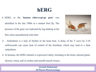 Herg assay,Structure, Various screening methods and Advantages | PPTX