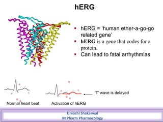 Herg assay,Structure, Various screening methods and Advantages | PPT