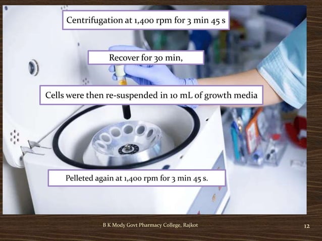 hERG Assay | PPTX | Chemistry | Science