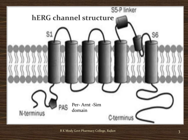 hERG Assay | PPTX | Chemistry | Science