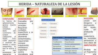 Heridas - Cicatrización | PPTX