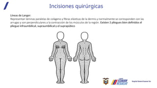 HERIDAS, incisiones quirúrgicas, fases de la cicatrización | PPTX
