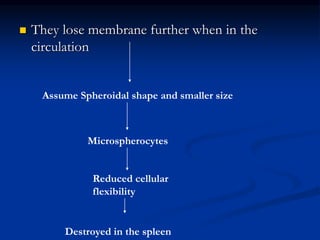 Heriditary spherocytosis | PPTX