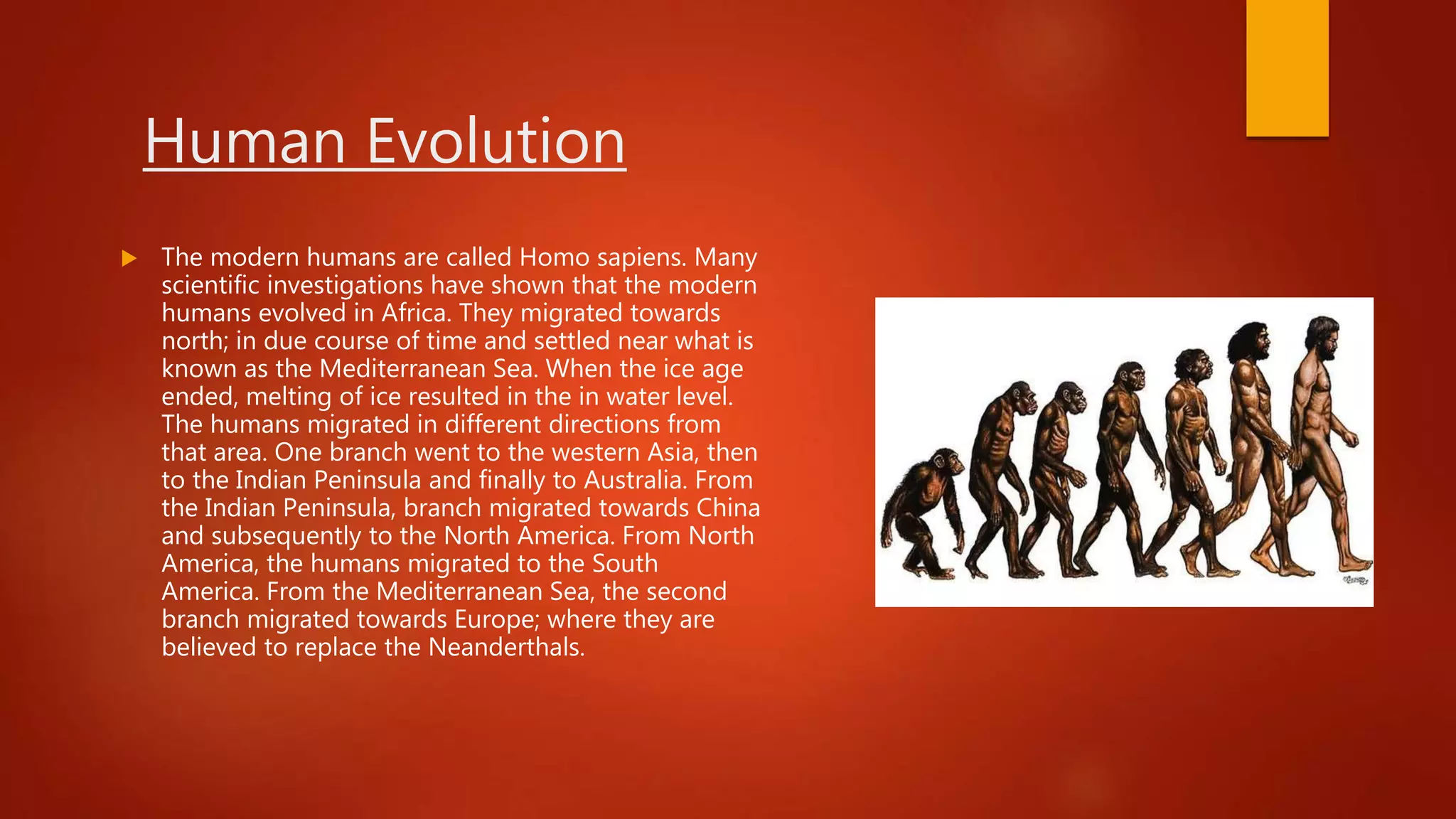 Heridity and evolution | PPTX