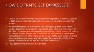 Heridity and evolution | PPTX
