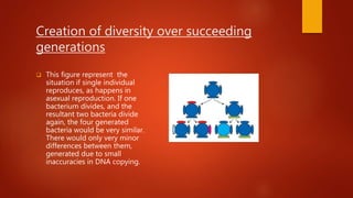 Heridity and evolution | PPTX