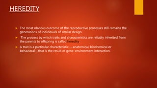 Heridity and evolution | PPTX