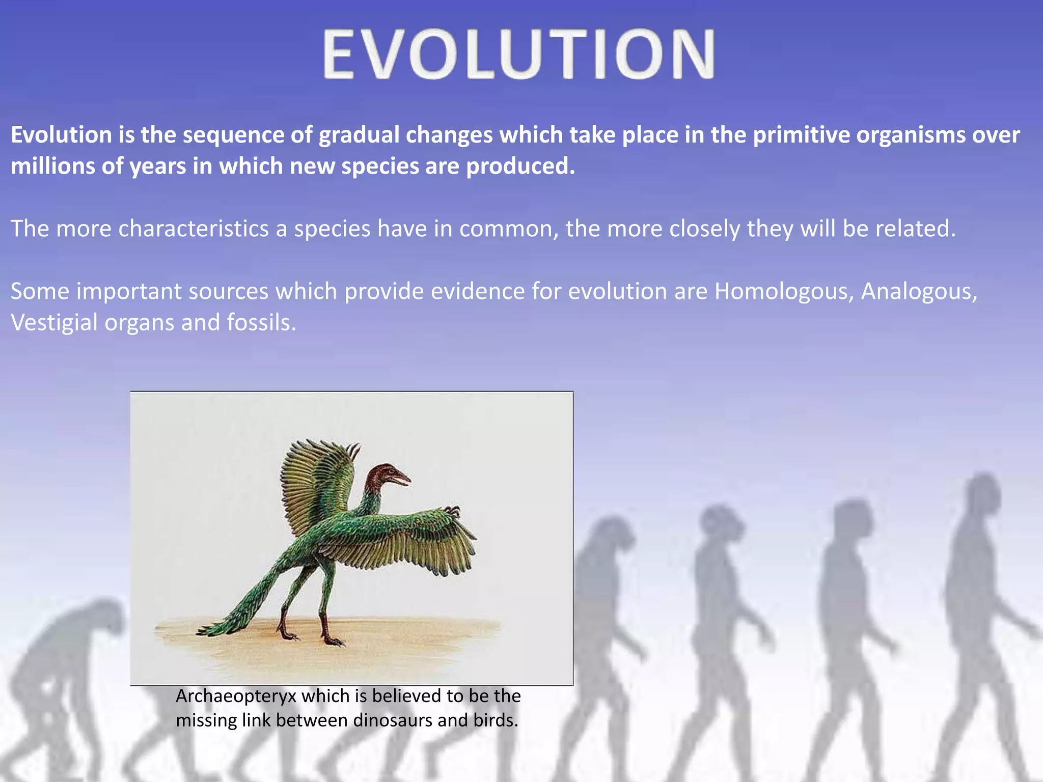 Heridity and Evolution - Biology Class 10 CBSE | PPSX
