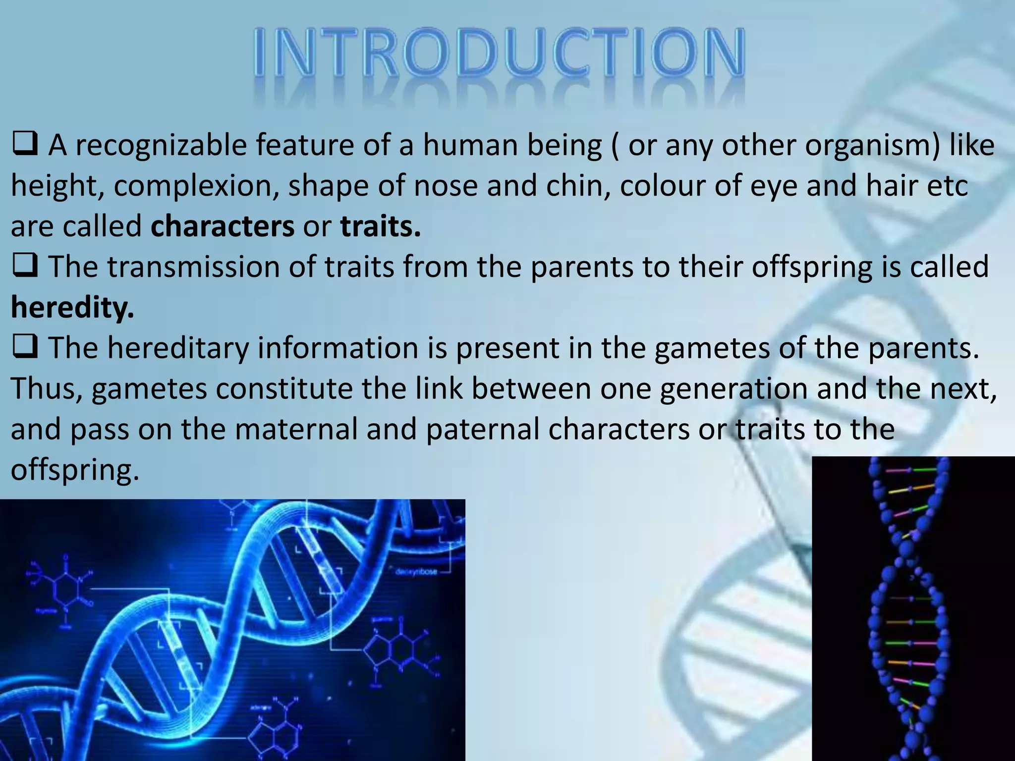 Heridity and Evolution - Biology Class 10 CBSE | PPSX