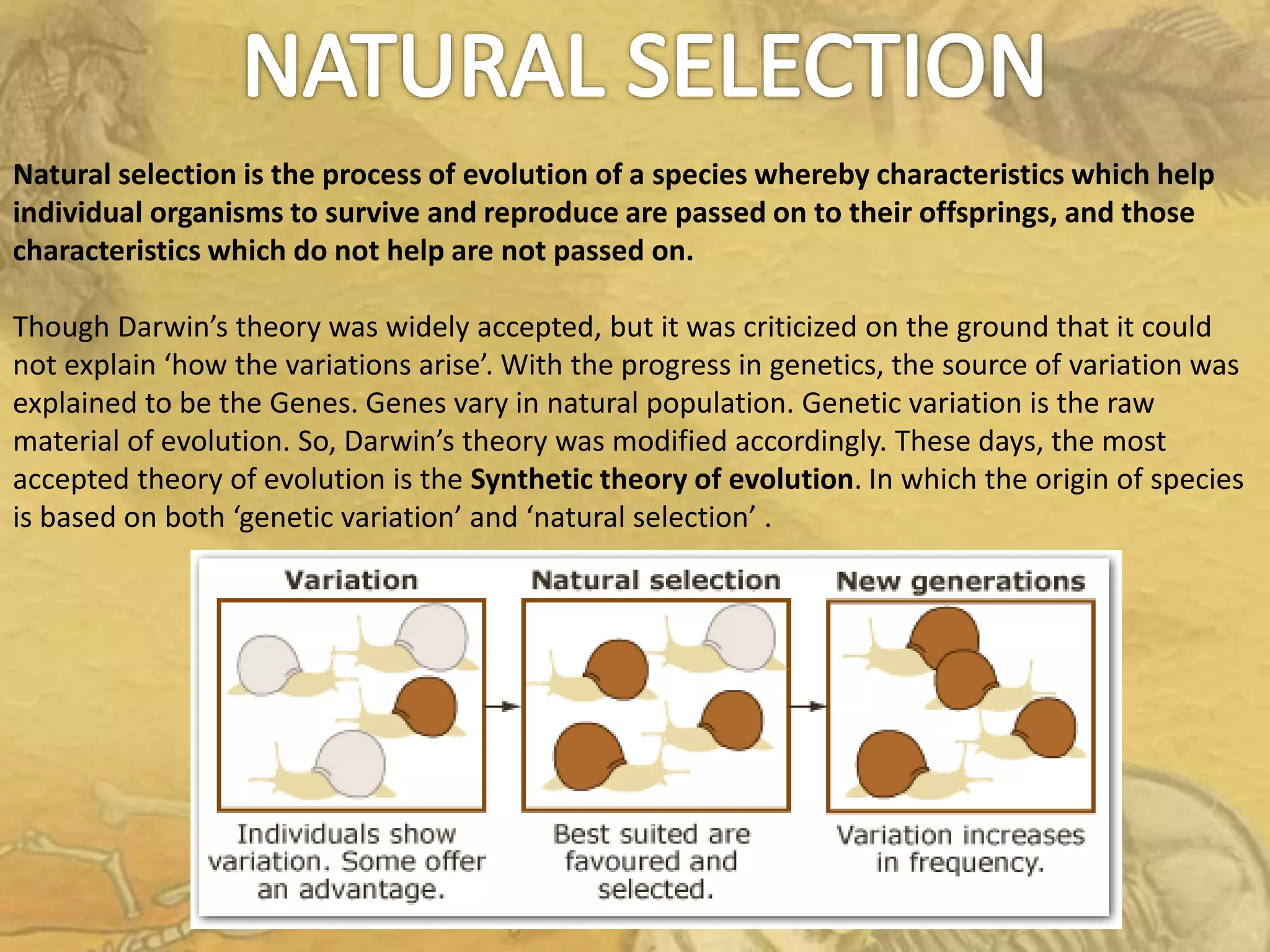 Heridity and Evolution - Biology Class 10 CBSE | PPSX