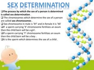 Heridity and Evolution - Biology Class 10 CBSE | PPSX