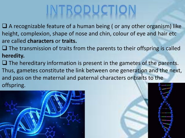 Heridity and Evolution - Biology Class 10 CBSE | PPSX | Reproductive ...