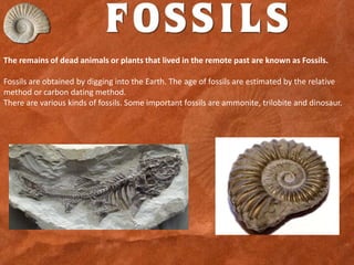 Heridity and Evolution - Biology Class 10 CBSE | PPSX