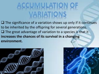 Heridity and Evolution - Biology Class 10 CBSE | PPSX