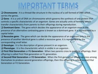 Heridity and Evolution - Biology Class 10 CBSE | PPSX