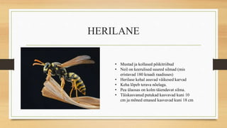 Herilaste liigid | PPTX