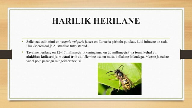 Herilaste liigid | PPTX