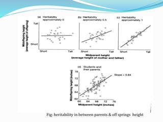 Presentation on Heritability | PPTX