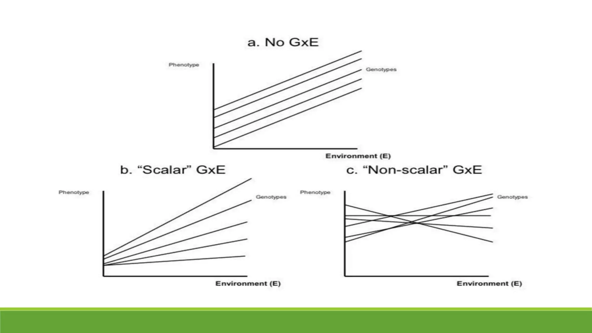 heritability PPT.pptx