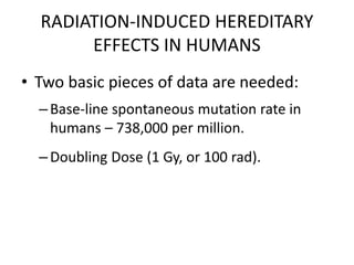 Mutated Humans From Radiation