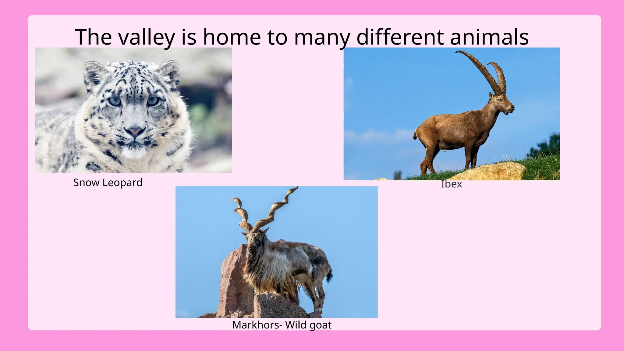 Pakistani Block Printing a KS2 School resource | PPTX