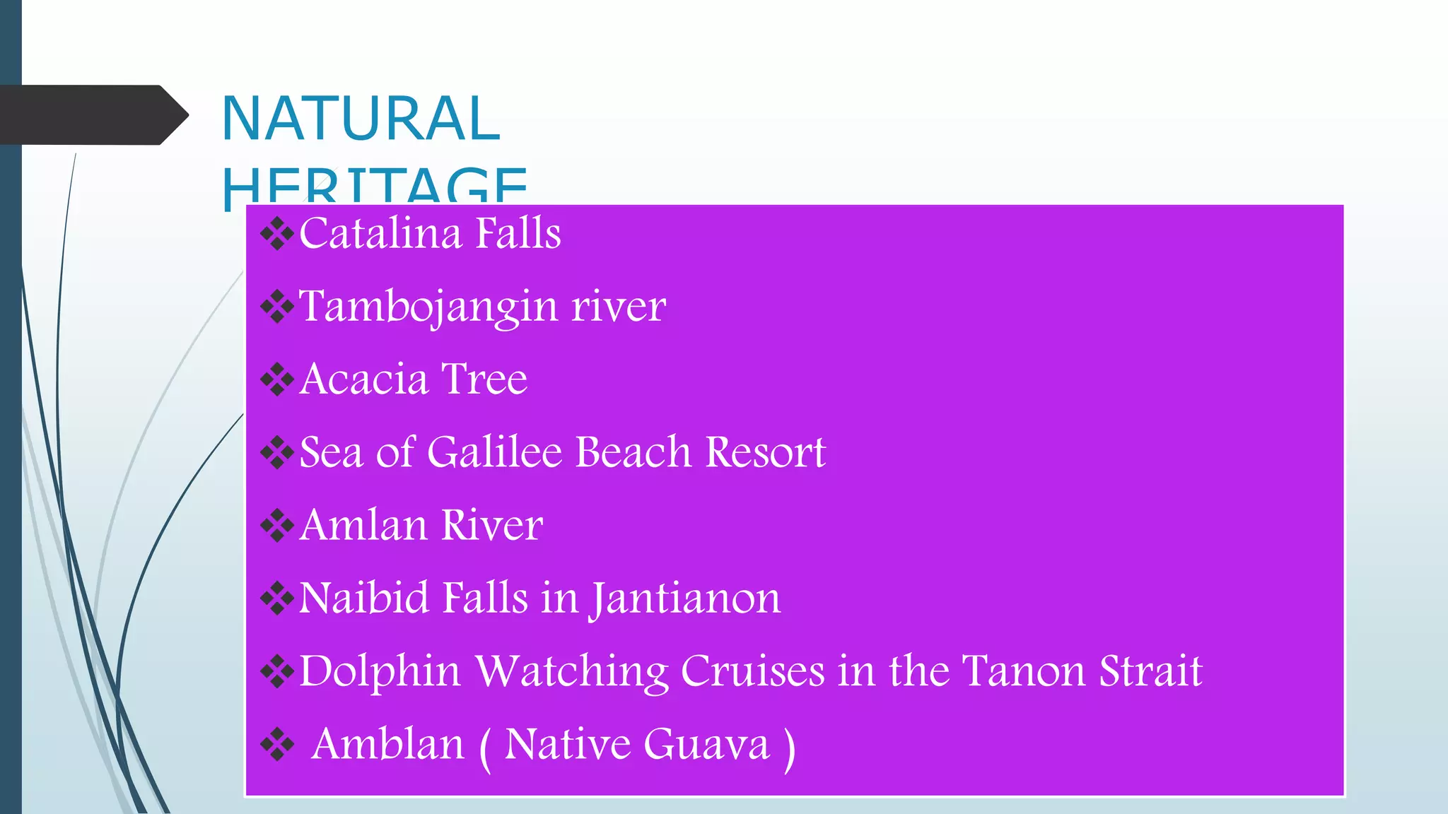 Cultural Mapping For Amlan | PPTX