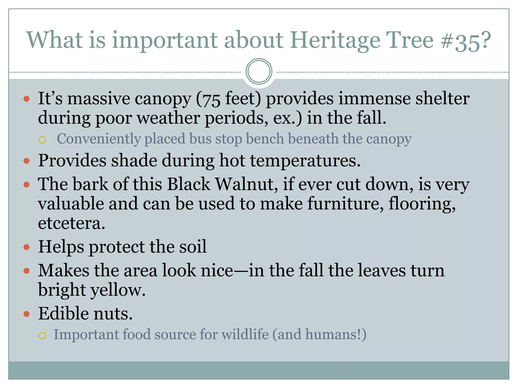 Heritage tree project | PPTX