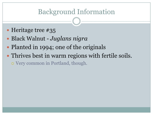 Heritage tree project | PPT