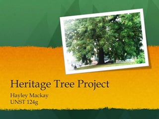Heritage tree presentation | PPT