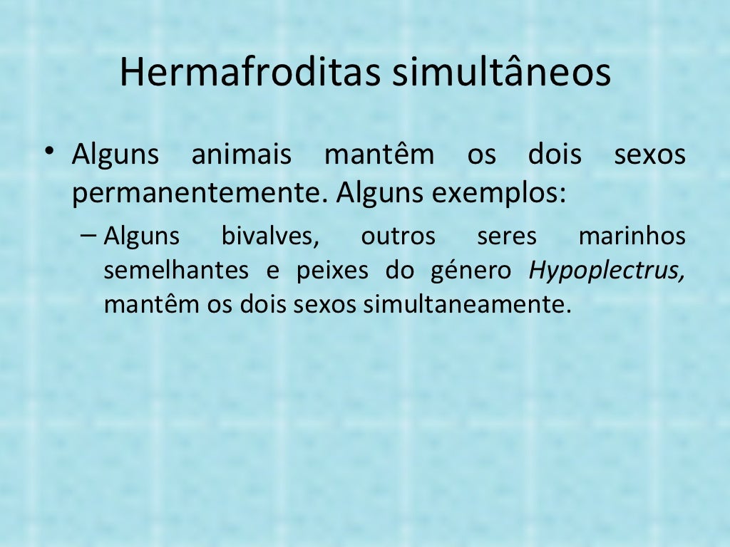 Hermafroditismo
