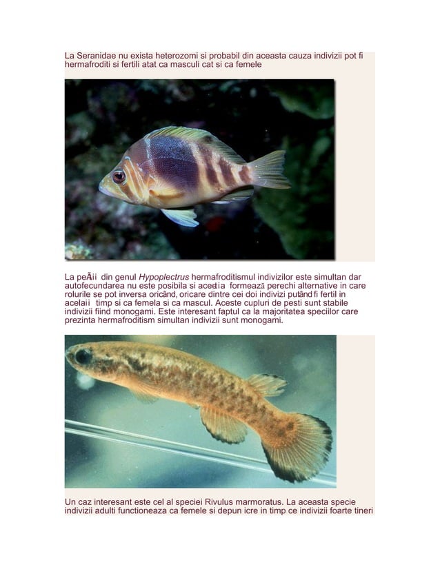 Hermafroditismul si inversiunea sexuala | DOC