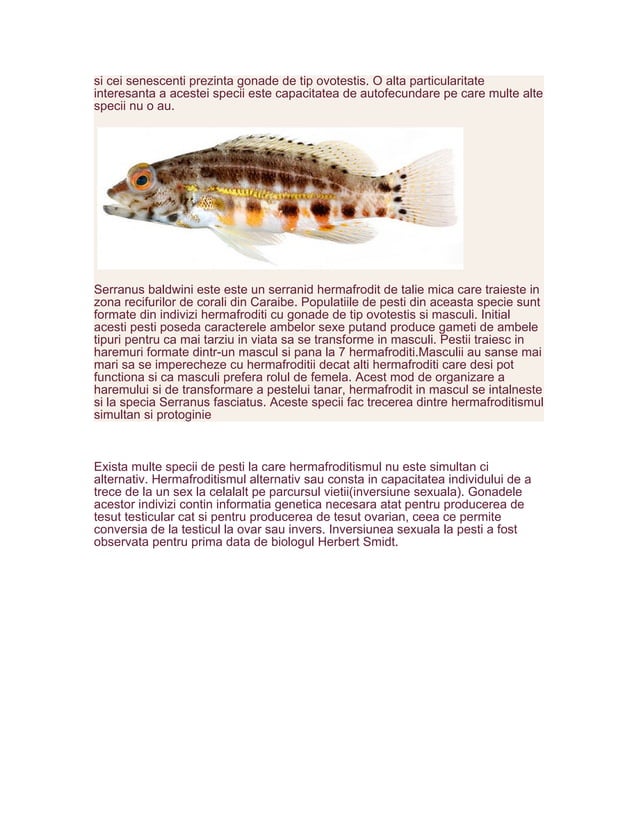 Hermafroditismul si inversiunea sexuala | DOC